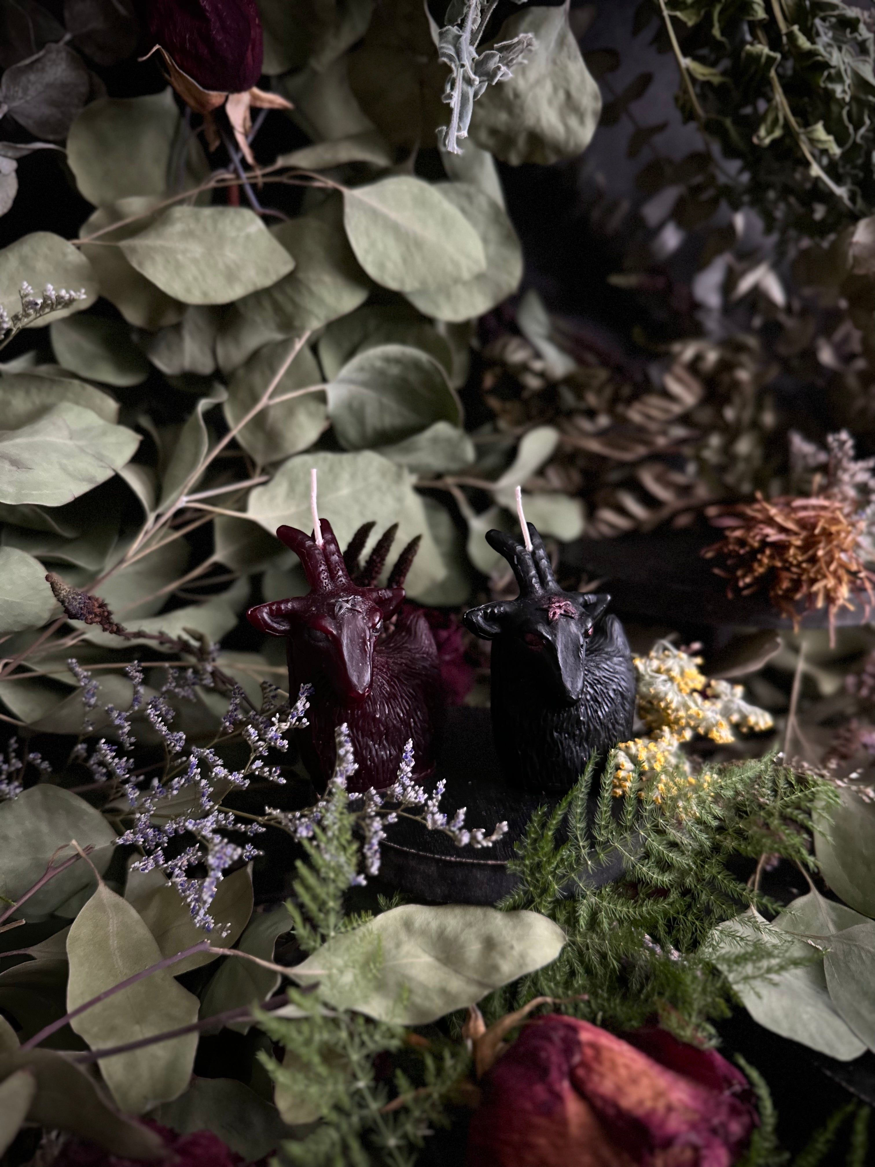 Goat Candles – ComaVVitch