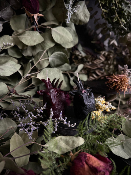 ComaVVitch - Cruelty-Free Vegan Witchery