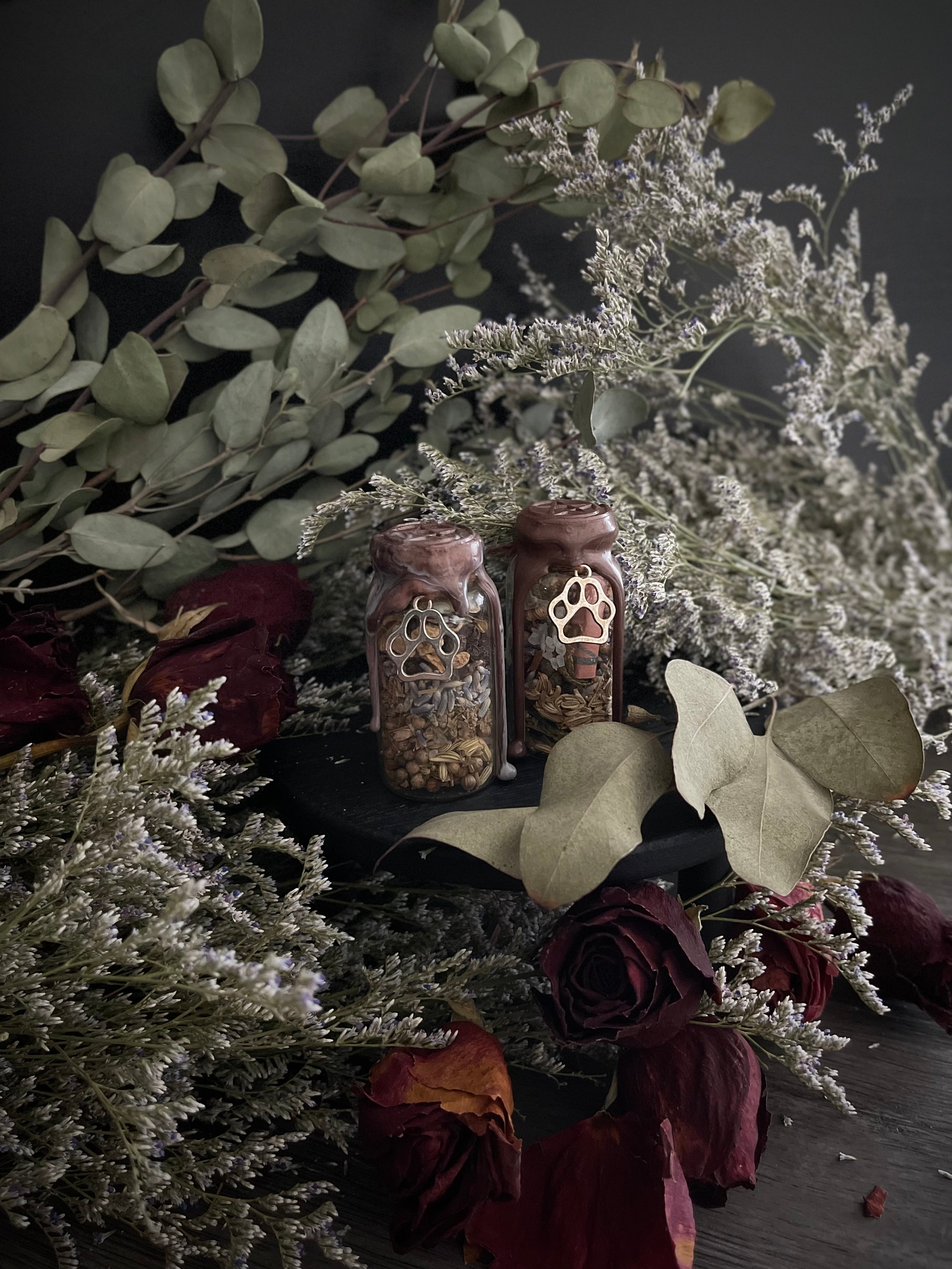 ComaVVitch Pet Protection Spell Jar